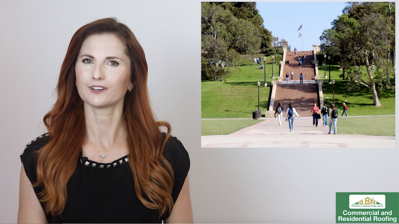 UCLA Students Move To Rename ‘Janss Steps’: Century City, Westwood Beat ...