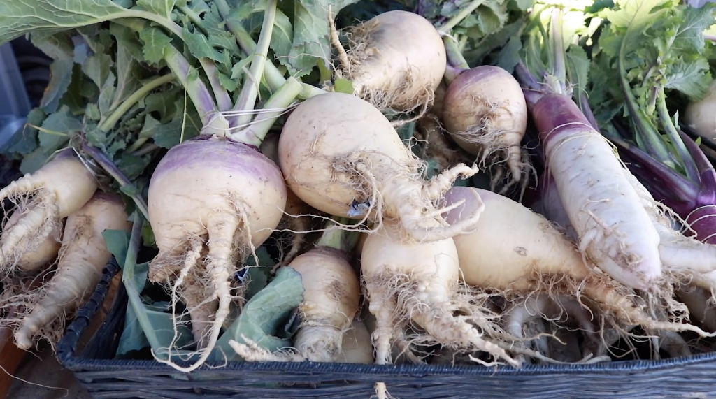 Canstruction Fights Hunger Through Art - Century City News