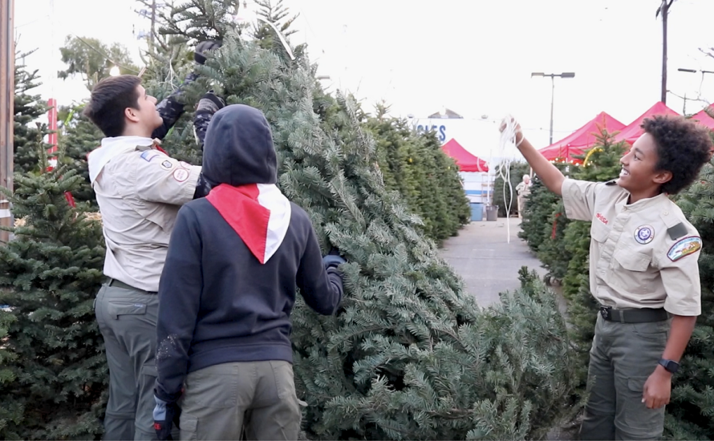 Local Boy Scouts Host 75th Annual Christmas Tree Lot - Century City News