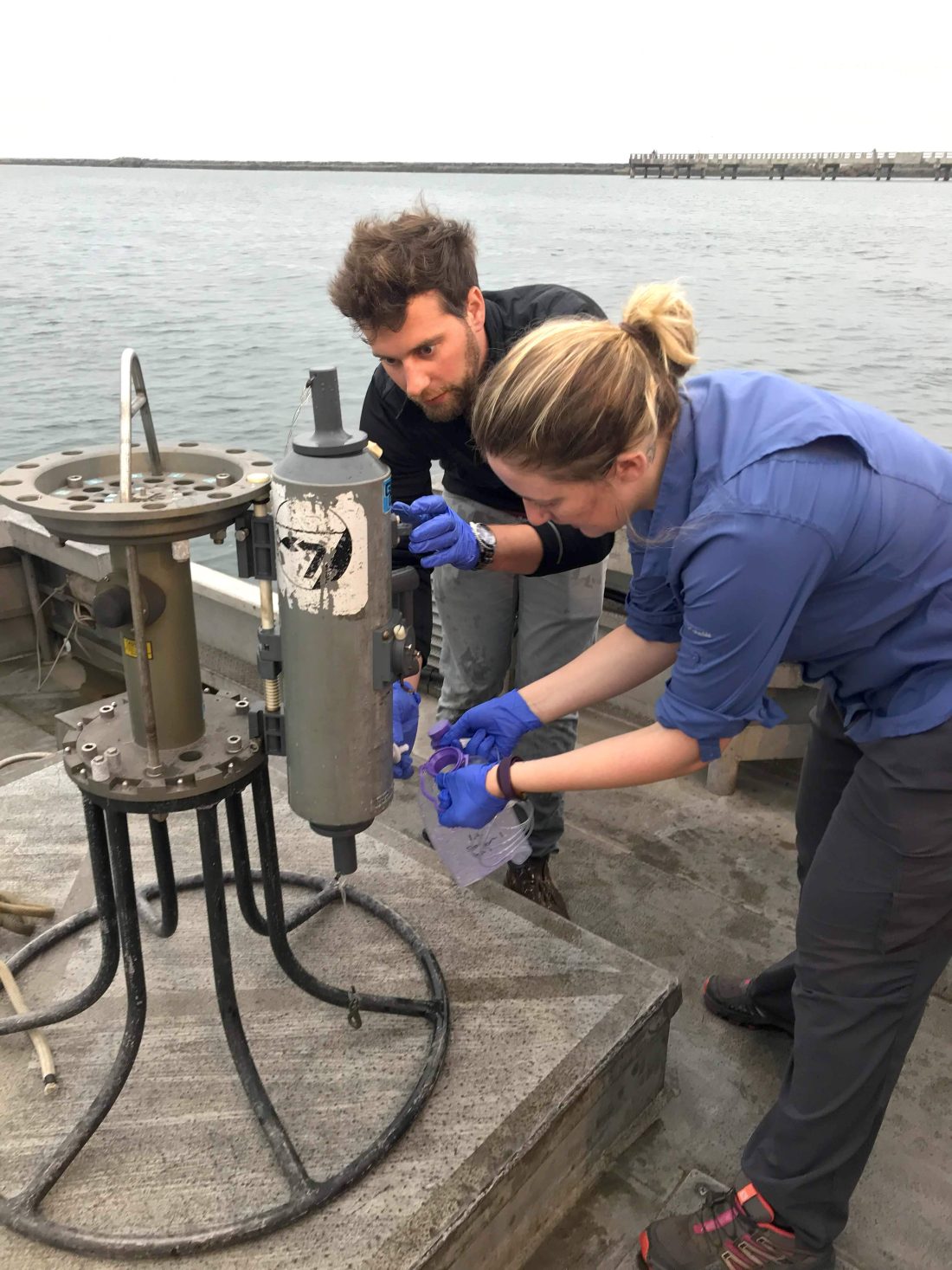 UCLA Scientists Help Simplify DNA Testing for Tracking Marine Species ...