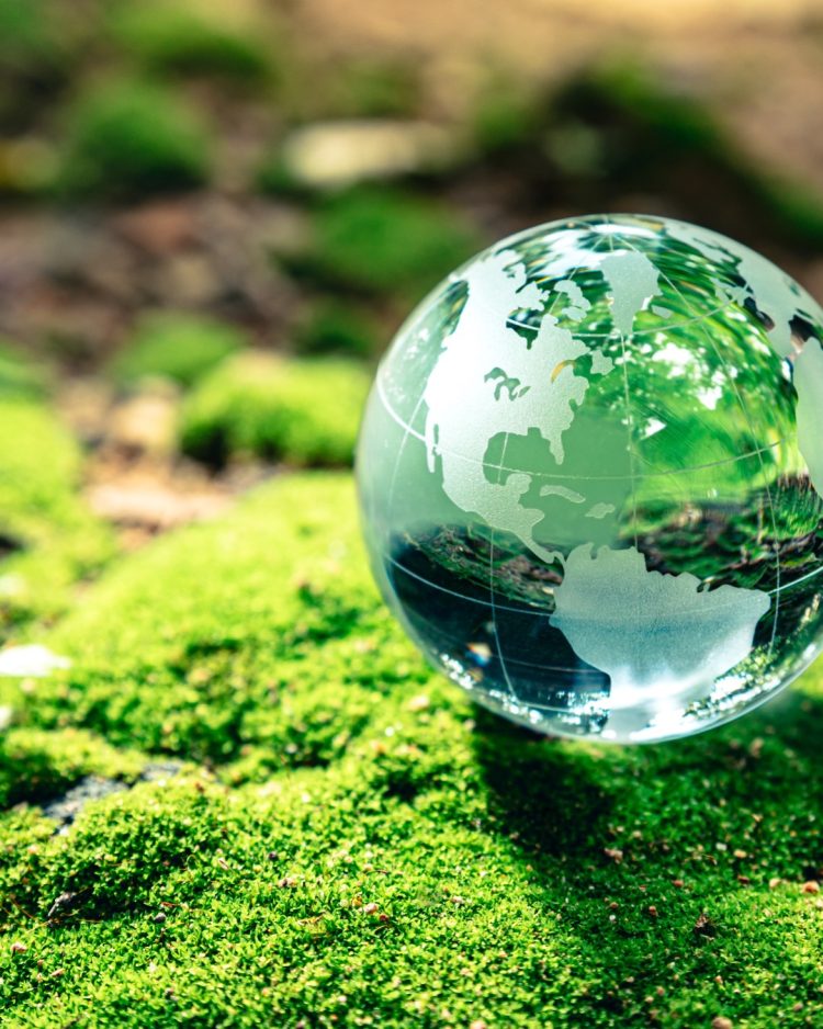 UCLA Hosts Annual Earth Day Fair for E3's Earth Month Campaign ...