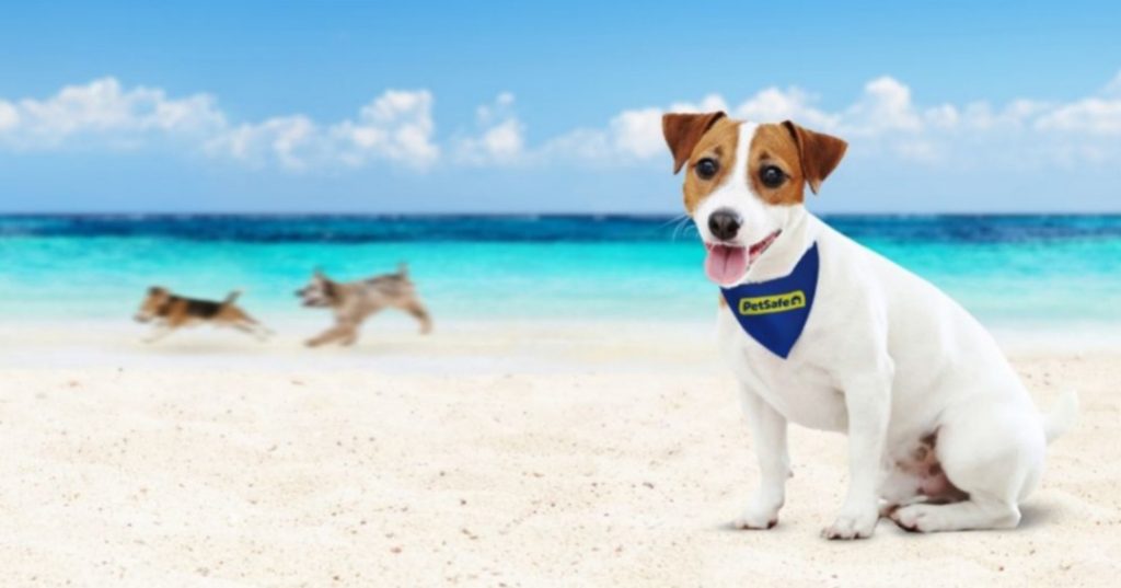 Erewhon, Becky G, and MALK Launch Exclusive 'Swirl-Chata' Super ...